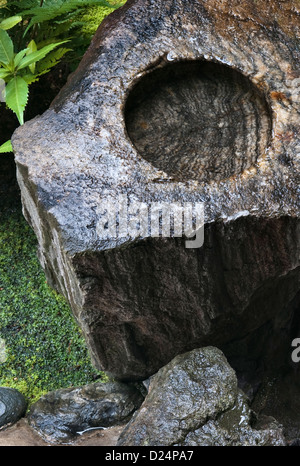 A stone tsukubai or water basin for ritual washing or purification, in ...