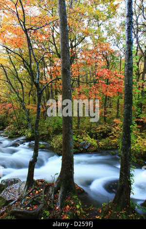 Oirase Stream in autumn Stock Photo - Alamy