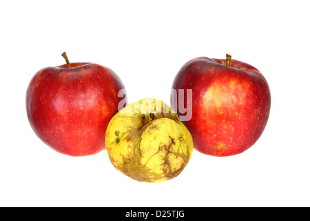 A deformed red apple isolated on a white background Stock Photo - Alamy