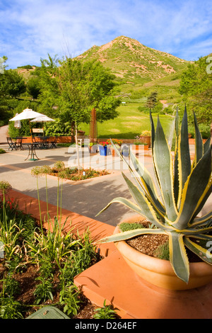 Red Butte Gardens, Salt Lake City Stock Photo - Alamy
