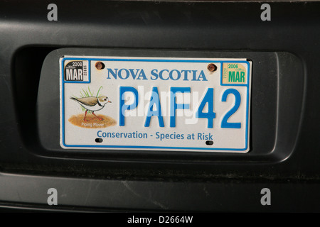 Canadian Nova Scotia car registration license plate AGV 288 Nov 82 83 ...