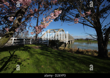 Balclutha Bridge in spring Stock Photo - Alamy