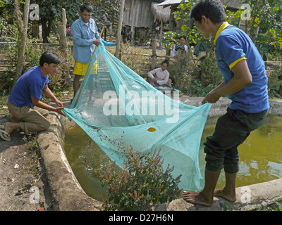 Cambodia Men catching fish from a village pond, Stung Treng Stock Photo ...