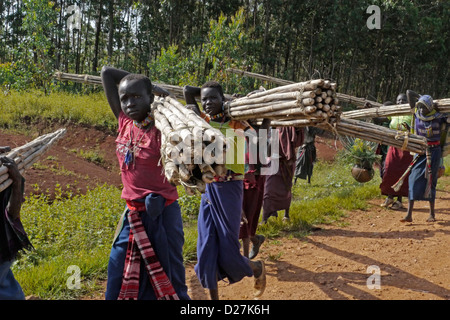 ETHIOPIA On the road between Chagni and Injibara, Beni Shangul Gumuz ...