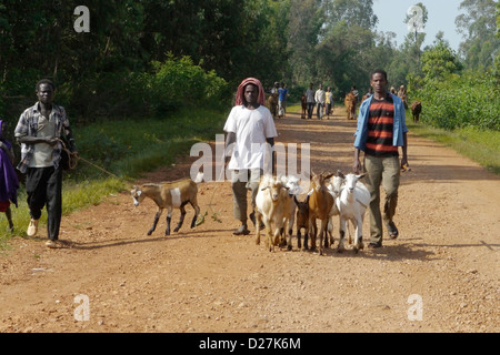 ETHIOPIA On the road between Chagni and Injibara, Beni Shangul Gumuz ...