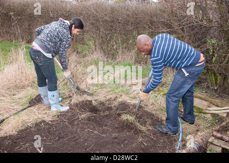 Man and girl digging out weeds on an allotment Stock Photo - Alamy