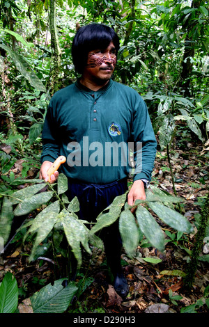 Ecuador, Indigenous Achuar Man Stock Photo - Alamy