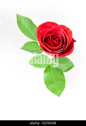 Valentine's Day background with red and white little hearts on pink ...