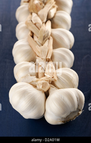 string of garlic Stock Photo - Alamy
