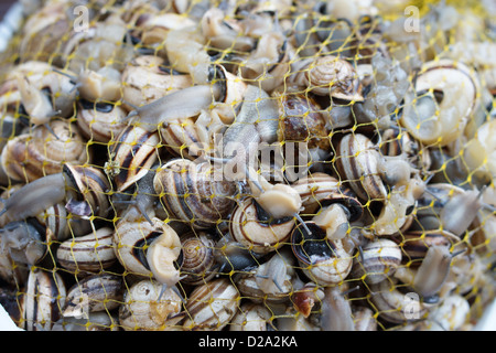 snails food spain andalusia Stock Photo - Alamy