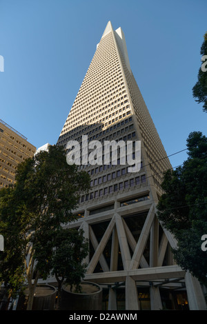Trans America Building, San Fransisco, California, USA Stock Photo - Alamy