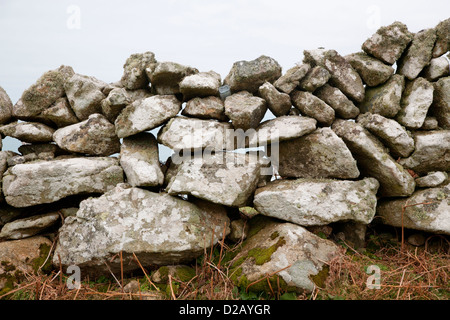 Building a traditional Cornish hedge a dry stone wall filled with Stock ...