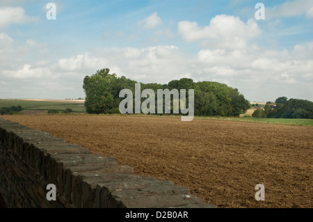 Hawthorn Ridge crater on the Somme battlefield made famous by footage ...