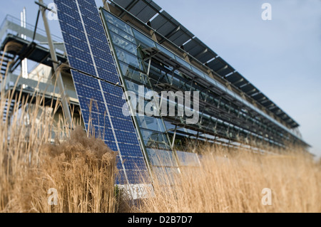 Freiburg, Germany, Freiburg's solar factory Stock Photo - Alamy