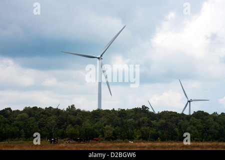Maple Ridge Wind farm wind turbines on Tug Hill Plateau Lewis County ...