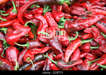 Chilis, Farmers' Market, Railyard District, Santa Fe, New Mexico USA ...