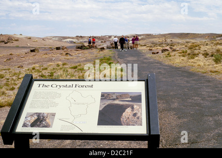 The Crystal Forest in the Petrified Forest National Park in Arizona ...