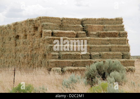 Stack of Square Hay Bales at Animal Farm Stock Photo - Alamy