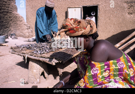 In Mali, Africa, a fisherman and his wife dry locally caught fish ready ...