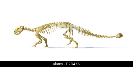 Ankylosaur computer artwork dinosaur predator scale armour club tail ...