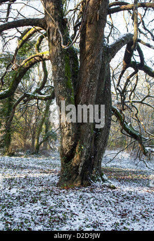 Snow scene County Limerick, Ireland Stock Photo - Alamy