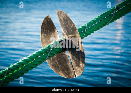 Rat Guard on mooring line of container ship Stock Photo - Alamy