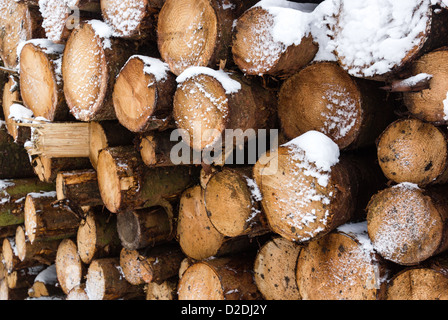 Pile of large logs covered by snow during the 2018 'Beast from the East ...