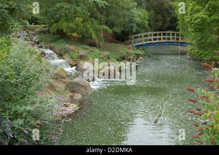 Waterfall and footbridge in Regents Park in London, England Stock Photo ...