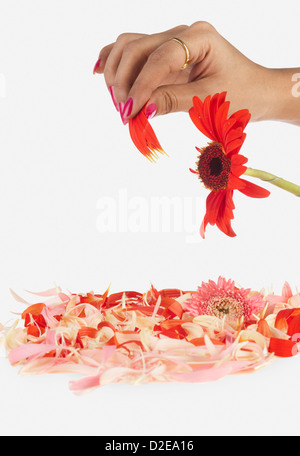 Hand pulling a petal from a flower Stock Photo - Alamy