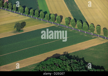 FRANCE. MARNE (51) AERIAL VIEW OF THE VINEYARD OF CHAMPAGNE (COTE DES ...