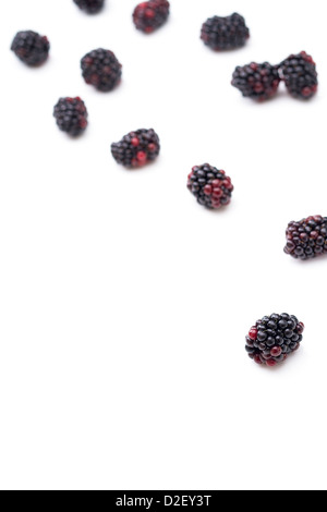 Blackberries on white background Stock Photo - Alamy