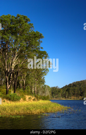 Brisbane Forrest Park Queensland Australia Stock Photo - Alamy