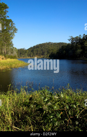 Brisbane Forrest Park Queensland Australia Stock Photo - Alamy
