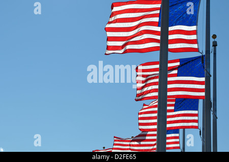 Democratic Party flag, United States, vector illustration, editorial ...