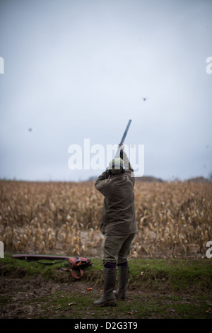 Traditional English game shooting in the autumn countryside with gun ...
