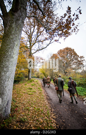 guns walking toward the next drive in Sussex Stock Photo - Alamy