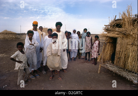 Wadi Medani Sudan Cotton Picking Stock Photo - Alamy