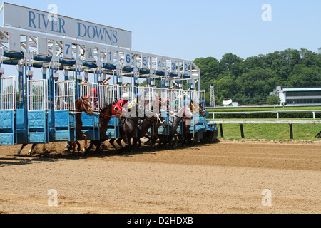 Horse racing starting gate Stock Photo - Alamy
