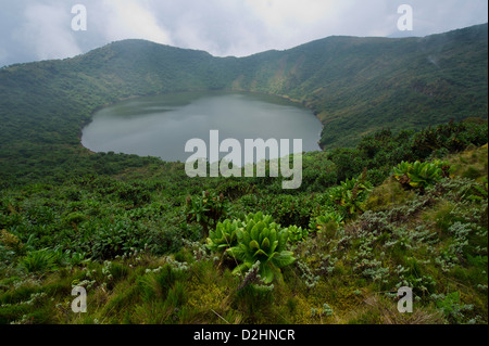 Bisoke crater lake on Mount Bisoke, Volcanoes National Park, Rwanda ...