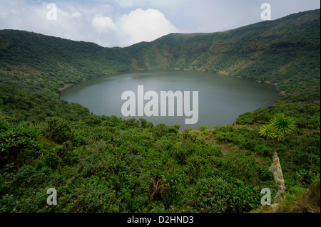 Bisoke crater lake on Mount Bisoke, Volcanoes National Park, Rwanda ...