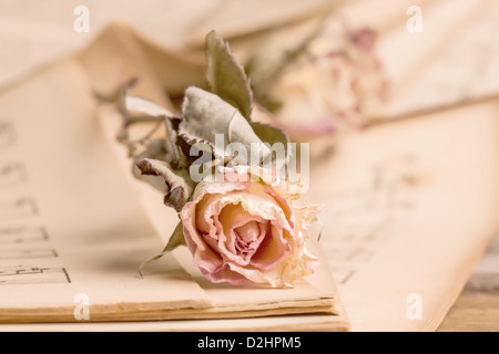 A Single Rose with a Blank Page for Writing a Love Note Stock Photo - Alamy