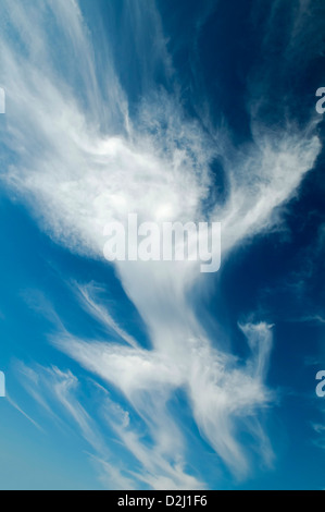 clouds look like a creature Stock Photo - Alamy