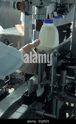 filling milk bottles in british dairy Stock Photo - Alamy