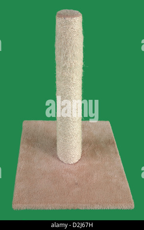 Cat scratching post, isolated on white background Stock Photo - Alamy