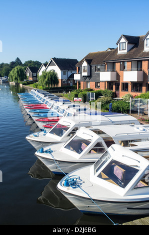 Norfolk Broads with hire boats moored to the bank with a day boat going ...