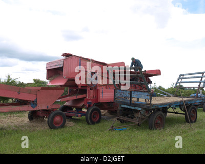 Vintage Ransome threshing machine working at Morton Steam and Vintage ...