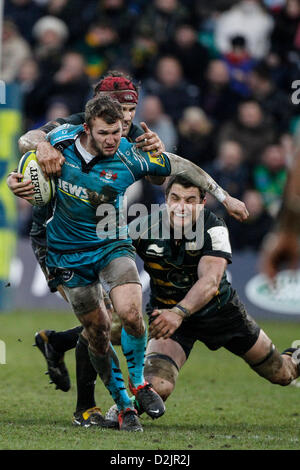 Northampton, UK. 26th January 2013. Andy HAZELL of Gloucester Rugby ...