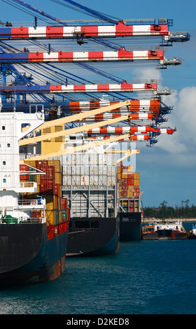Freeport in the Bahamas: the container ship MSC Ornella entering the ...