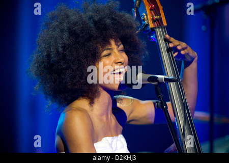 1 December 2009 - Oslo, Norway - Portrait of Geir Lundestad at the ...
