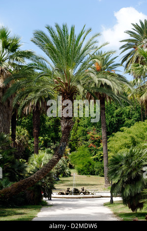 Rome. Italy. Avenue of Palm trees lead to the fountain of the tritons ...